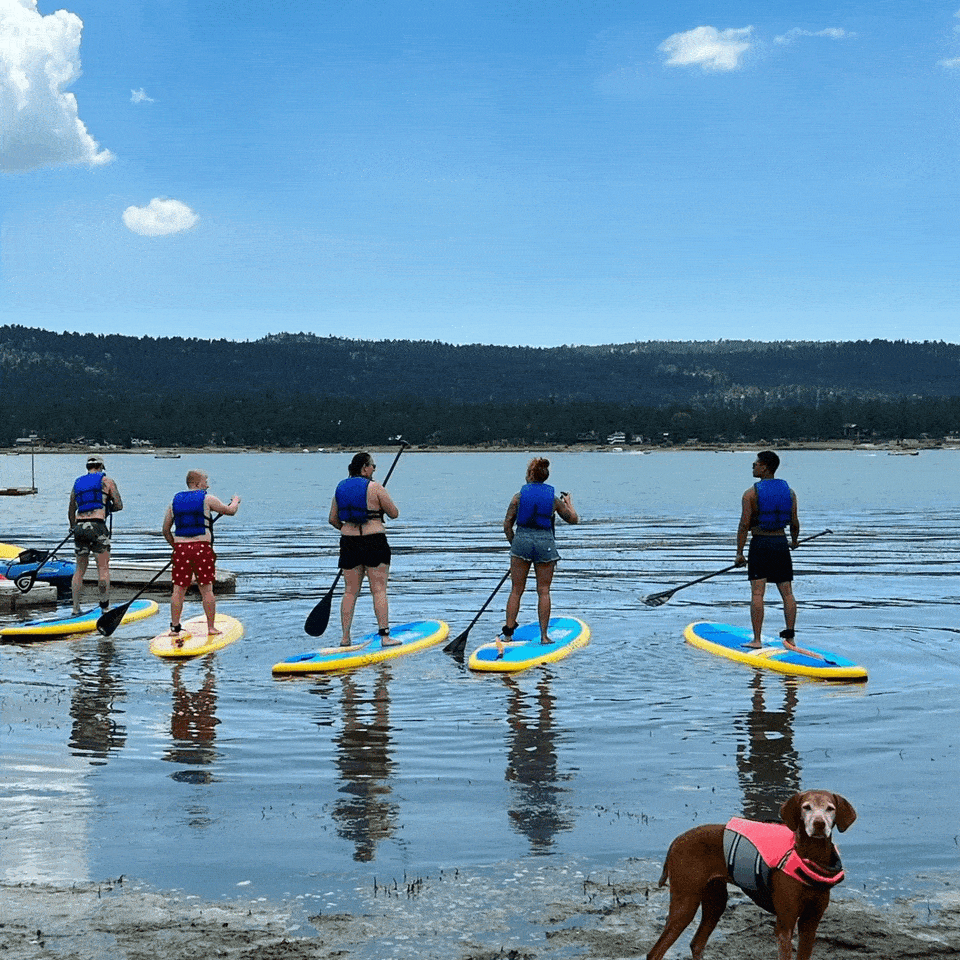 Our Impact – LiboRisk