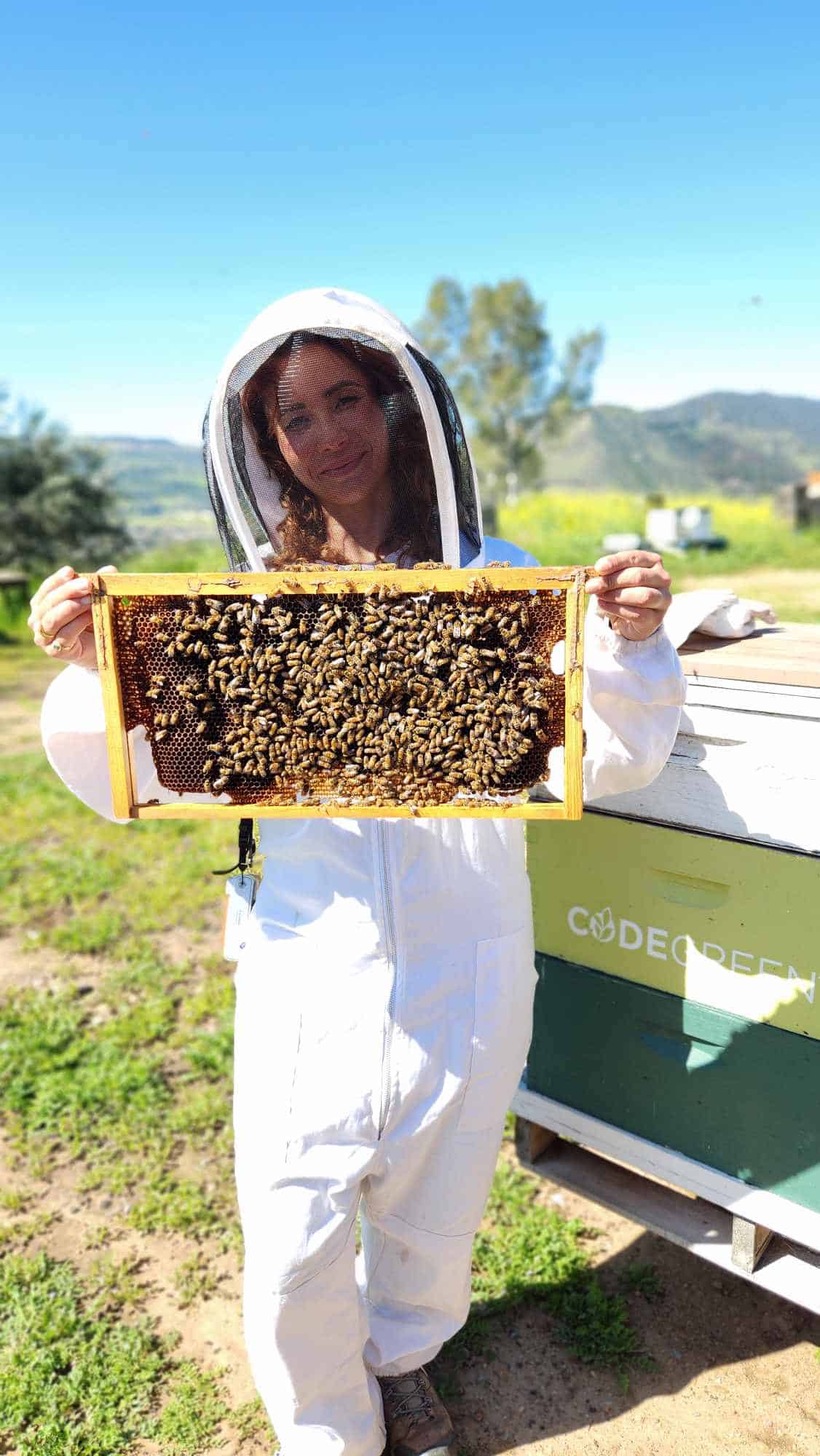 Our Impact – LiboRisk