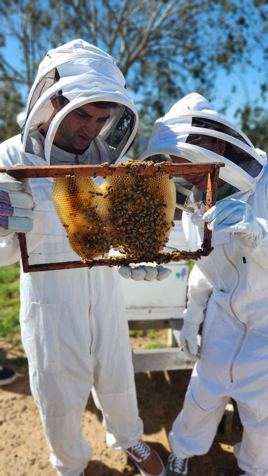 Our Impact – LiboRisk